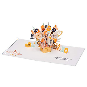 American Greetings Pop Up Birthday Card (XOXO)