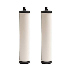 Doulton M15 UltraCarb Ceramic Drinking Water Filter Candle for Franke 02, Franke Triflow, Filterflow, All 1st Gen Steel and 2nd Gen Plastic Housings ¦ FRX01 ¦ 10 inch ¦ M15 Thread ¦ W9223021 (2 Pack)