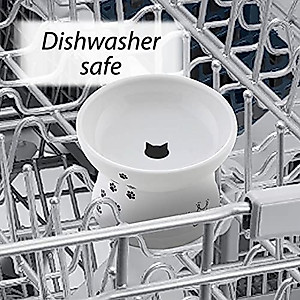 Necoichi Raised Stress Free Cat Food Bowl, Elevated, Backflow Prevention, Dishwasher and Microwave Safe, No.1 Seller in Japan! (Cat, Regular)