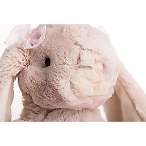 DILLY DUDU Ballerina/Ballet Bunny Plush Toy Stuffed Animal Rabbit Doll 10-inch(Pink)