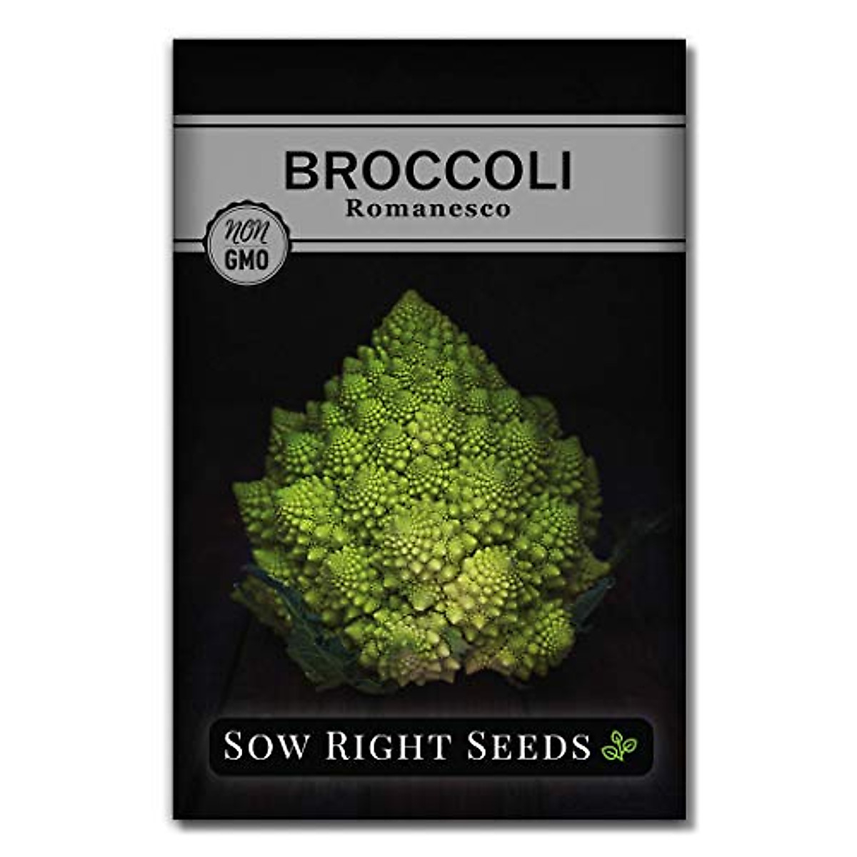 Sow Right Seeds - Broccoli Seed Collection for Planting - Individual Packets Broccoli Di Ciccio, Romanesco, and Waltham 29 Non-GMO Heirloom Seeds to Plant an Outdoor Home Vegetable Garden