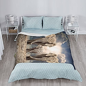 Elephant Blanket 40" x 50" African Wild Animal Family Exotic Super Soft Bedding Fleece Throw Blanket Luxury Bed Blanket Bedroom Living Room Warm Lightweight for Kids Adults