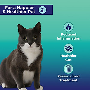Innovative Pet Lab Comprehensive Gut Health Test Kit for Cats - at-Home Cat Stool Test for Immune & Gluten Sensitivity Symptoms Like Diarrhea, Vomiting, Itchy Skin - Easy Non-Invasive Testing Kit