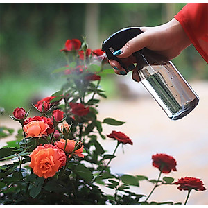 driew Plant Mister Spray Bottle, Plant Spray Bottle Misting Bottle for Plants Water Spray Bottle Plant Water Sprayer 10oz, Black