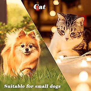 kcrygogo Copper Collar Bell for Small Pet, 0.7 inch Bell for Cats and Small Dogs,Noise Maker Anti-Theft Bell with Silver Pet Anti-Lost ID Pendant Tags (2Set)