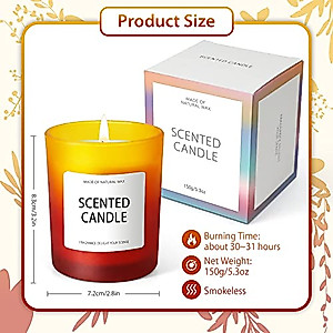 Scented Candles Set City of Stars, Endless Summer, Sunset Boulevard/Jar Candle Rose of Desert