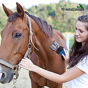 My Animal Command Replacement Beiyuan Blades for MAC400 Horse Clipper (34/24 Tooth) 2mm Cutting Length for Horses Cattle & Livestock. Compatible with Some Lister Machines