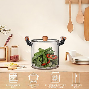 Hgjgwqh Clear Glass Pot for Cooking Borosilicate Glass Stovetop Pot with Lid and Wooden Handle Large Glass Saucepan with Cover on Stove Nonstick Glass Simmer Pot for Home Kitchen Restaurant,5.5l