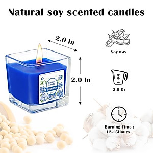 20 Packs Assorted Colored Scented Aromatherapy Candles in Glass with 10 Fragrances Bulk Small Natural Soy Wax Candles for Home Stress Relief Women Christmas Gift