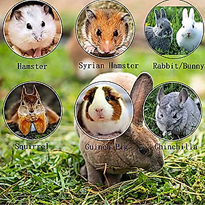 kathson 15 PCS Hamster Chew Toys Teeth Grinding Lava Block Mineral Stone Calcium Chewing Toy for Chinchillas Rabbit Bunny Guinea Pig Gerbil