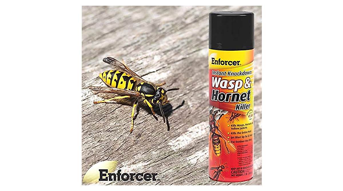 Enforcer 12 Pack Wasp & Hornet Killer Spray - Instant Knockdown 16oz