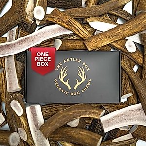The Antler Box Premium Elk Antler Dog Chews (1 Piece Box) (Split, X-Large (6-8Oz)