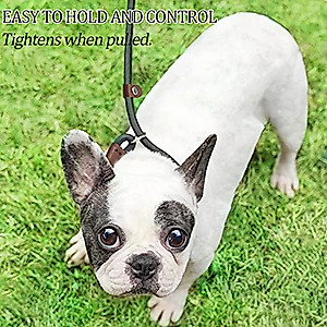 MayPaw Slip Lead Control Leash for Dogs No Pull, 13+ Colors Classic Dog Leash 7FT Pet Slip Leash, 1/4” Rope Leash for Small Medium Animals