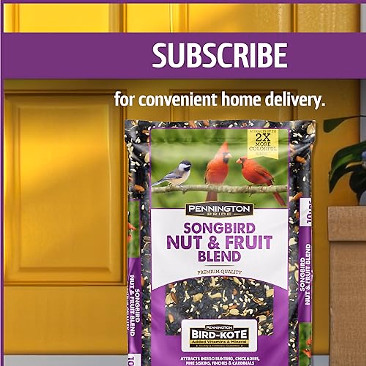 Pennington Pride Songbird Nut & Fruit Blend, Wild Bird Seed for Outside Feeders, Advanced Nutrition Formula for Bird Health, 10-lb. Bag