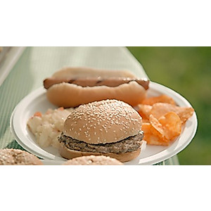 Chinet Classic White Dinner Plates