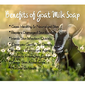 SUNAROMA Soap - 8.5oz (Goat*s Milk with Shea Butter and Manuka Honey)