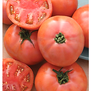Burpee 'Brandywine', Pink Beefseak Tomato, 90 Non-GMO Seeds