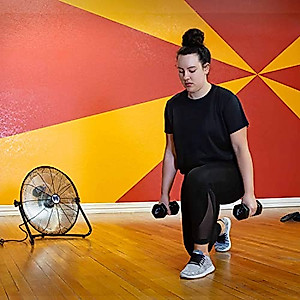 Big Air | Industrial Grade Air Circulator for Garage, Shop, Home, Barn Use (20" Floor Fan)