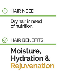 NOVEX Shampoo 10.1oz + Conditioner 10.1oz Set (Avocado)