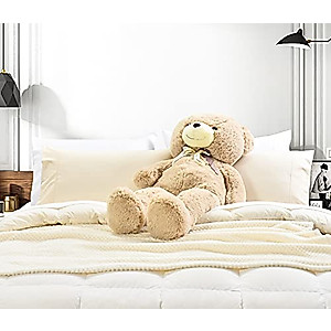 Alexandra's Secret Home Collection Brushed Microfiber Pillowcase Set of 2 - Soft Microfiber Pillow Cases with Envelop Closure (Beige, Standard/Queen)