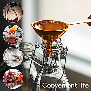 KUFUNG Stainless Steel Mini Funnels for Transferring of Liquid Fluid Dry Ingredients with Long Handles & Detachable Ring Holder