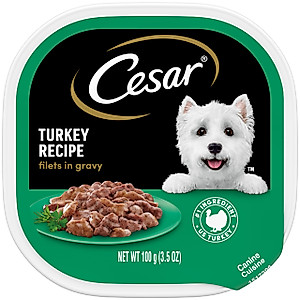 CESAR Soft Wet Dog Food Filets in Gravy Turkey Recipe, (24) 3.5 oz. Easy Peel Trays