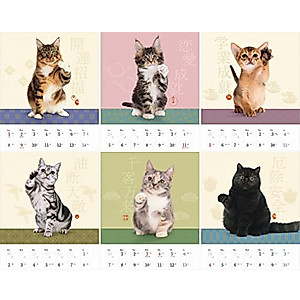 カレンダー2023 開運まねき猫 (月めくり/壁掛け) (ヤマケイカレンダー2023)