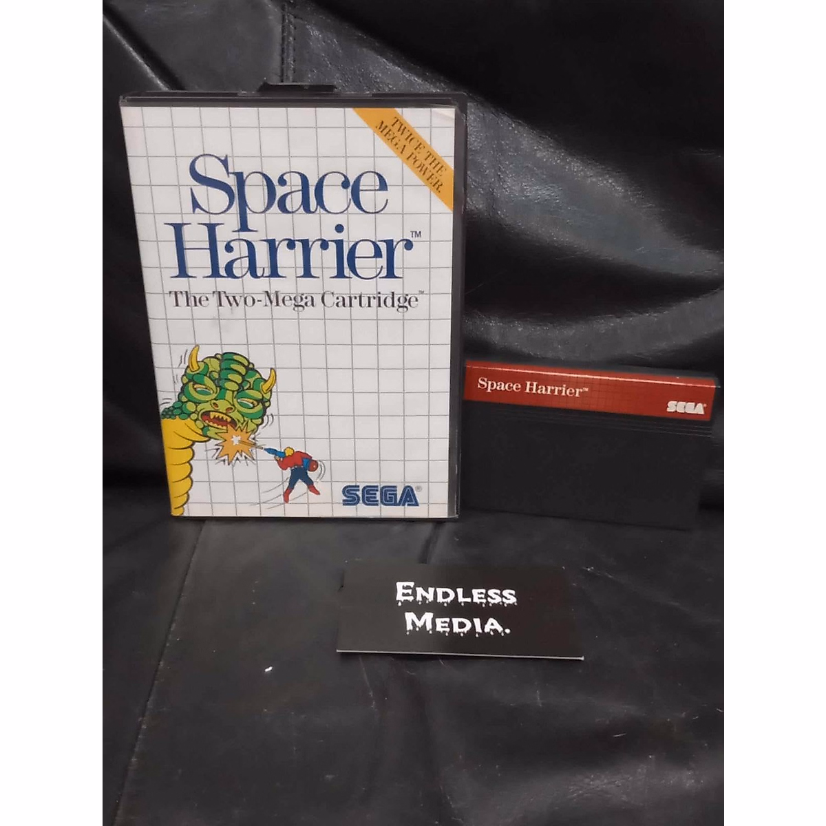 Space Harrier : Sega Master