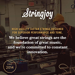 Stringjoy FW1254 Foxwoods Coated Phosphor Bronze Acoustic Guitar Strings 12-54 Light Gauge, Long-Lasting Tone, Smooth Playability, Acoustic Guitar Strings 6 String Set, Premium Guitar Accessories