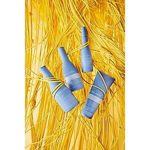 Björn Axén Repair Shampoo - Repairs Dry and Damaged Hair - Enriched with Organic Argan Oil - Strengthens and Hydrates Hair - Leaves Hair Shiny and Renewed - Vegan - Dermatologically Tested - 8.45 oz