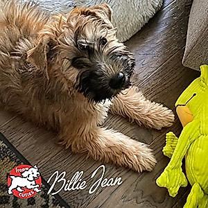 Fromm Puppy Gold Premium Dry Dog Food - Dry Puppy Food for Medium & Small Breeds - Chicken Recipe - 15 lb