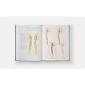 Dynamic Human Anatomy: An Artist's Guide to Structure, Gesture, and the Figure in Motion