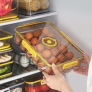 Clear Egg Tray Storage Box,Egg Holder With Lid And Special Buckle,Stackable PET Plastic Refrigerator Organizer Bins,Grey-24pieces