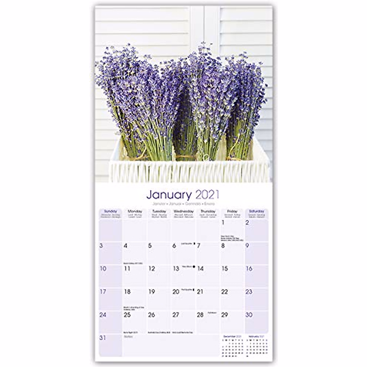 Garden Calendar - Lavender Calendar - Flower Calendar - Calendars 2020 - 2021 Wall Calendars - Garden Calendars - Flower Calendar - Lavendar 16 Month Wall Calendar by Avonside