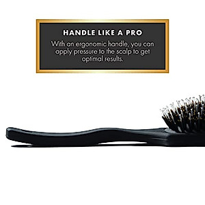 Boar Bristle Brush by Everlong Hair, Boar & Nylon Bristles Adds Shine & Promote Hair Growth, Scalp Massage & Detangling, Safe for All Hair Types Extensions & Wigs, Matte Black Coated Ergonomic Handle