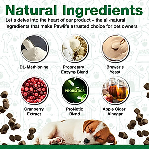 Pawlife Green Grass Dog Chews – 120 Turf Treats for Dog Spot Grass Repair, Veterinarian Formulated Dog Urine Neutralizer for Lawn, Lawn Protection Treats, Dog Pee Grass Neutralizer (Chicken Flavored)