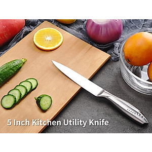 Hollory 5 Inch Kitchen Utility Knife, German High Carbon Stainless Steel Blade and Full Tang Handle, Fruit and Vegetable Cutting Chopping Carving Knives-Silver