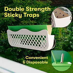 BugMD Barfly - Window Replacement Traps (6 Pack) - Window Fly Paper, Fly Trap Indoor, Window Fly Strips, Window Fly Tape, Indoor Fly Trap for Home, Fly Catcher Indoor, Indoor Fly Control