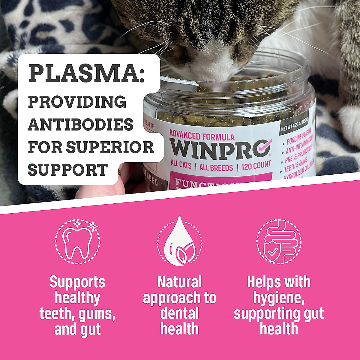 WINPRO - Tasty Dental Bites for Cats, Plasma-Powered Formula for Teeth Cleaning, Gum Support & Dental Care, Probiotic Blend Catnip Treats for Gut Health, All Cat Breeds, 120 Count, Made in USA