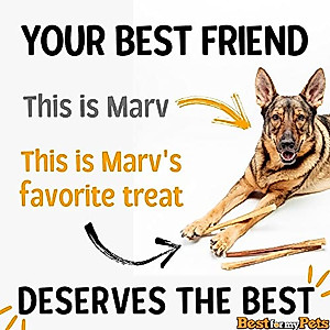 Best For My Pets Odor Free Bully Sticks, Long-Lasting Chews to Keep Puppies and Dogs Happily Busy, All-Natural Fully Digestible, 6-Inch Long, 8-Ounce Bag