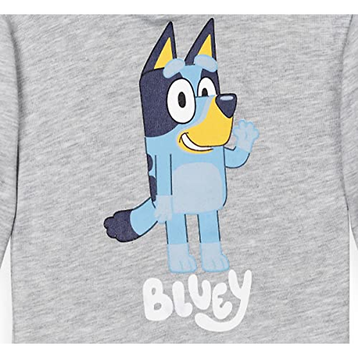 Bluey Toddler Boys Fleece Hoodie and Pants Outfit Set Grey/Blue 3T