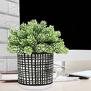 Winlyn 3 Pcs Small Potted Plants Artificial Succulents Hanging Plants and Faux Tropical Snake Plant in Black Geometric Pots for Modern Home Kitchen Windowsill Table Shelf Indoor Outdoor Greenery Decor