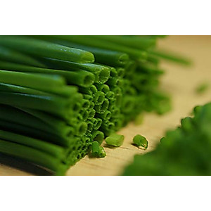 Sow Right Seeds - Chive Seed Collection for Planting - Grow Both Common Chives and Garlic Chives for Your Kitchen - Non-GMO Heirloom Seeds with Instructions to Plant, Indoor or Outdoor; Great Garden