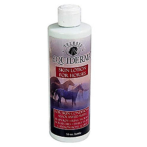 EQUIDERMA (2 Pack) Horse Skin Lotion and Zinc Oxide Paste 16oz with 10ct pet Wipes