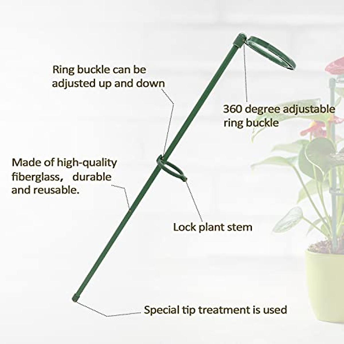 Plant Stakes,Plant Support Stakes with Rings for Indoor and Outdoor Plants.MIALEXO 19Pcs Plant Support Sticks Suitable for Potted Plant Flowers Tomatoes Peony Lily Rose (17.6-18inches)