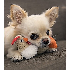 goDog Checkers Just For Me Fat Rooster Squeaky Plush Dog Toy, Chew Guard Technology - White, Mini