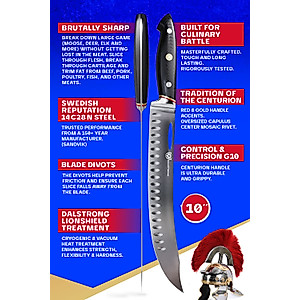 Dalstrong Butcher Knife - 10 inch - Centurion Series - Premium Swedish 14C28N High Carbon Stainless Steel - G10 Handle Meat Kitchen Knife - Razor Sharp Carving Breaking Knife - Sheath Included