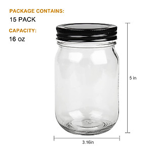 Accguan 16oz Glass Jars with Regular Lids, Mason Jar With Airtight Lids(Black), Clear Glass Jar Ideal for Jam,Honey,Shower Favors,Wedding Favors, 15 pack