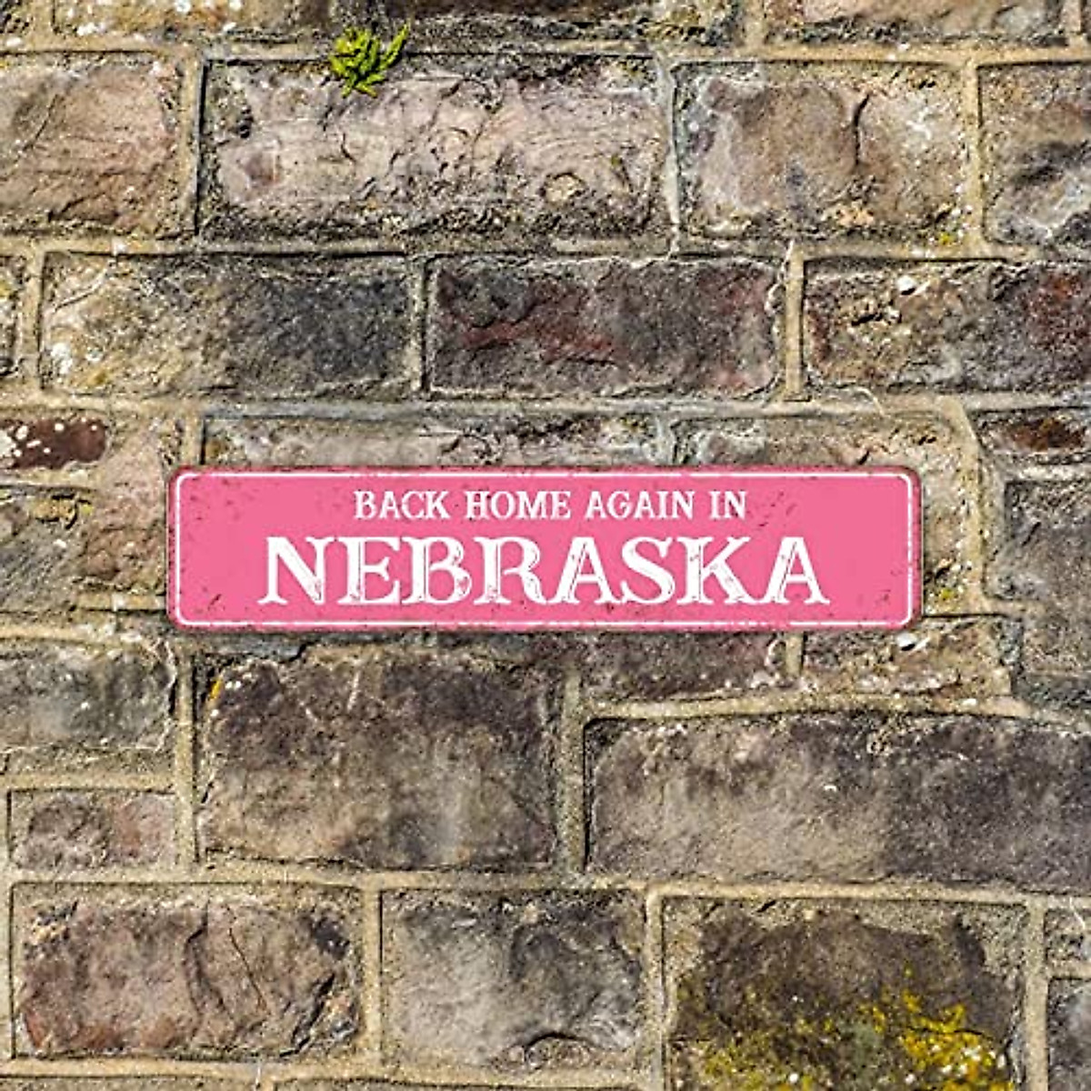Nebraska Tin Plaque Custom State Metal Plaque Back Home Again in Nebraska Road Signs Unique Drinking Sign for Front Door Garden Yard Porch Man Cave Novelty Birthday Gift 18x4in