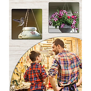 NACETURE Ceiling Hooks for Hanging Plants 3 Pack - Plant Hanger Indoor Hanging Hooks Metal Plant Bracket Iron Lanterns Hangers for Wind Chimes, Planters (Round White 3 Pack) (Black With Chain, 3 Pack)